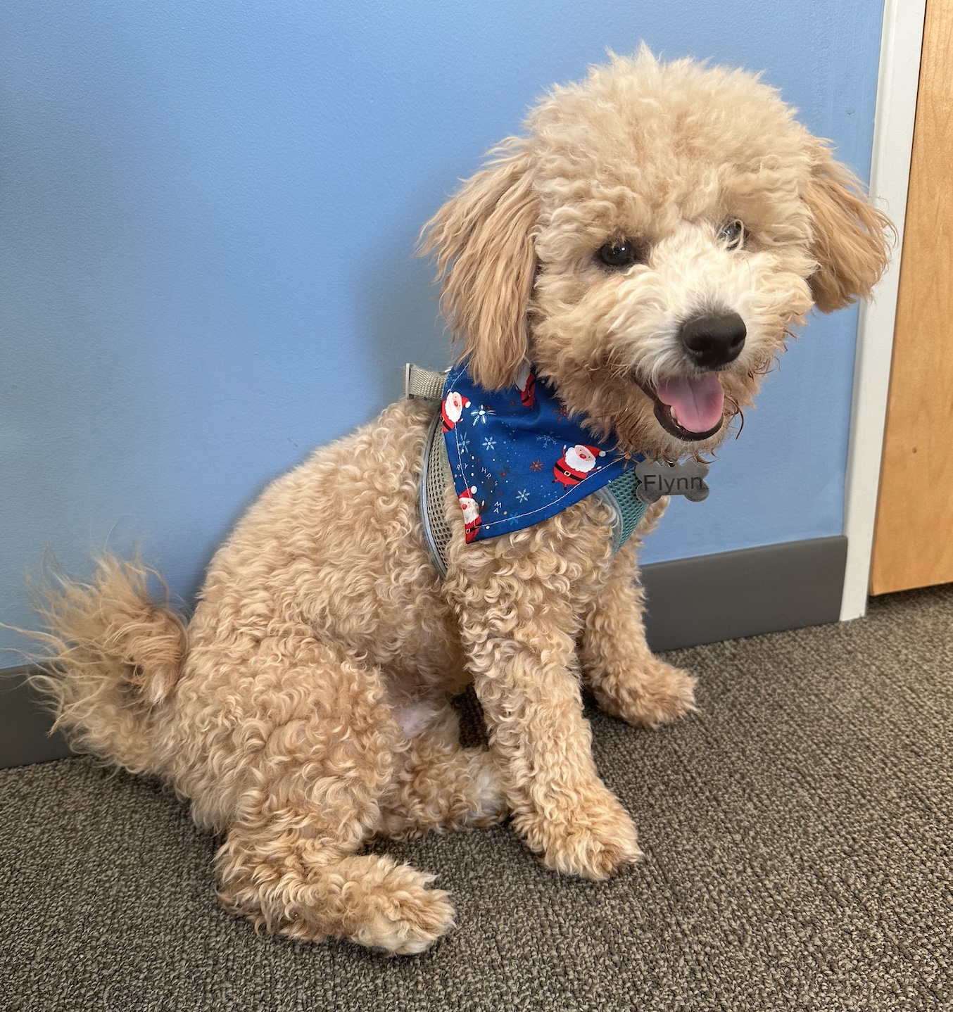 About me - Nikitha Rao